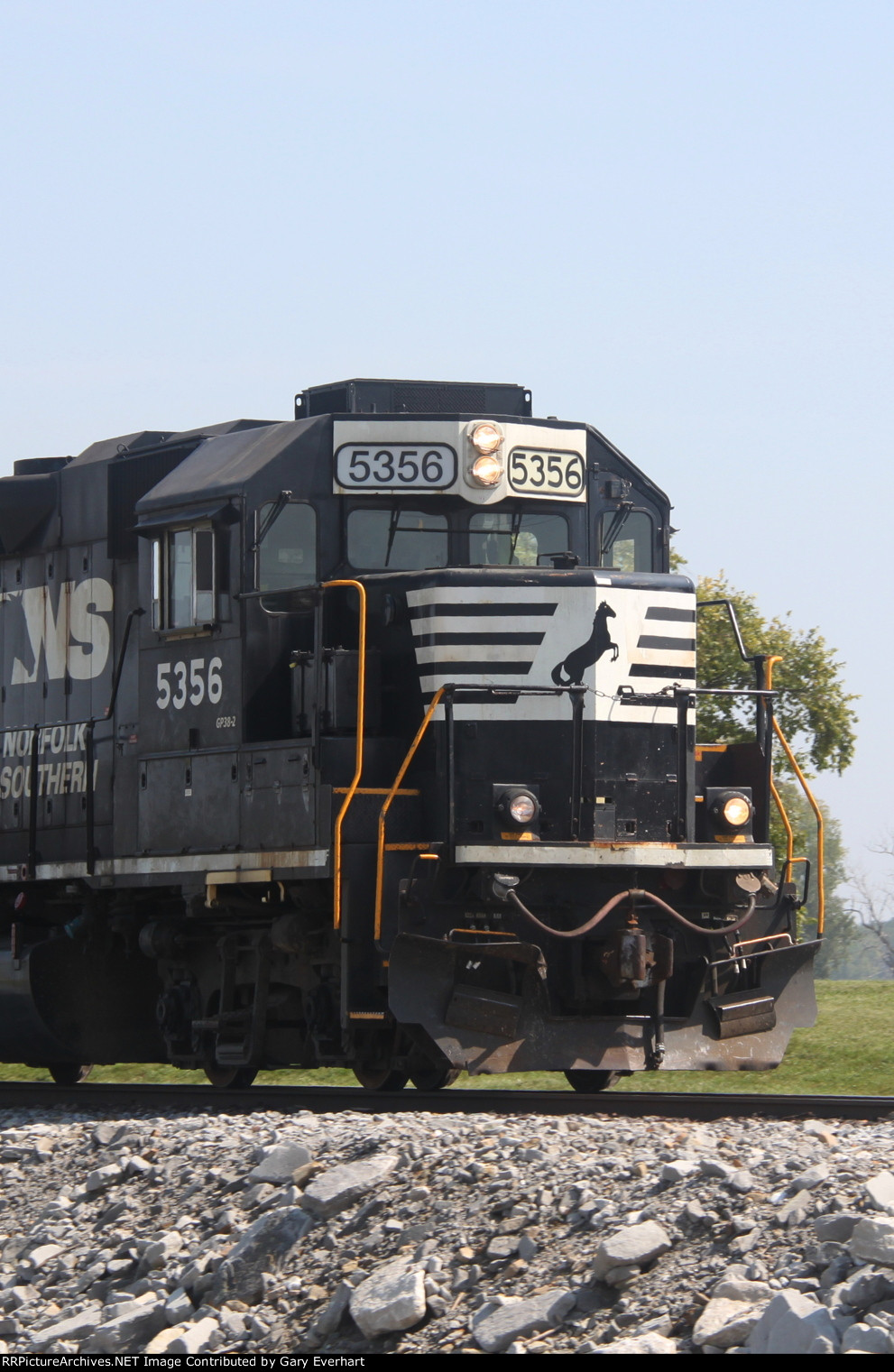 NS Thoroghbred Logo Trivia